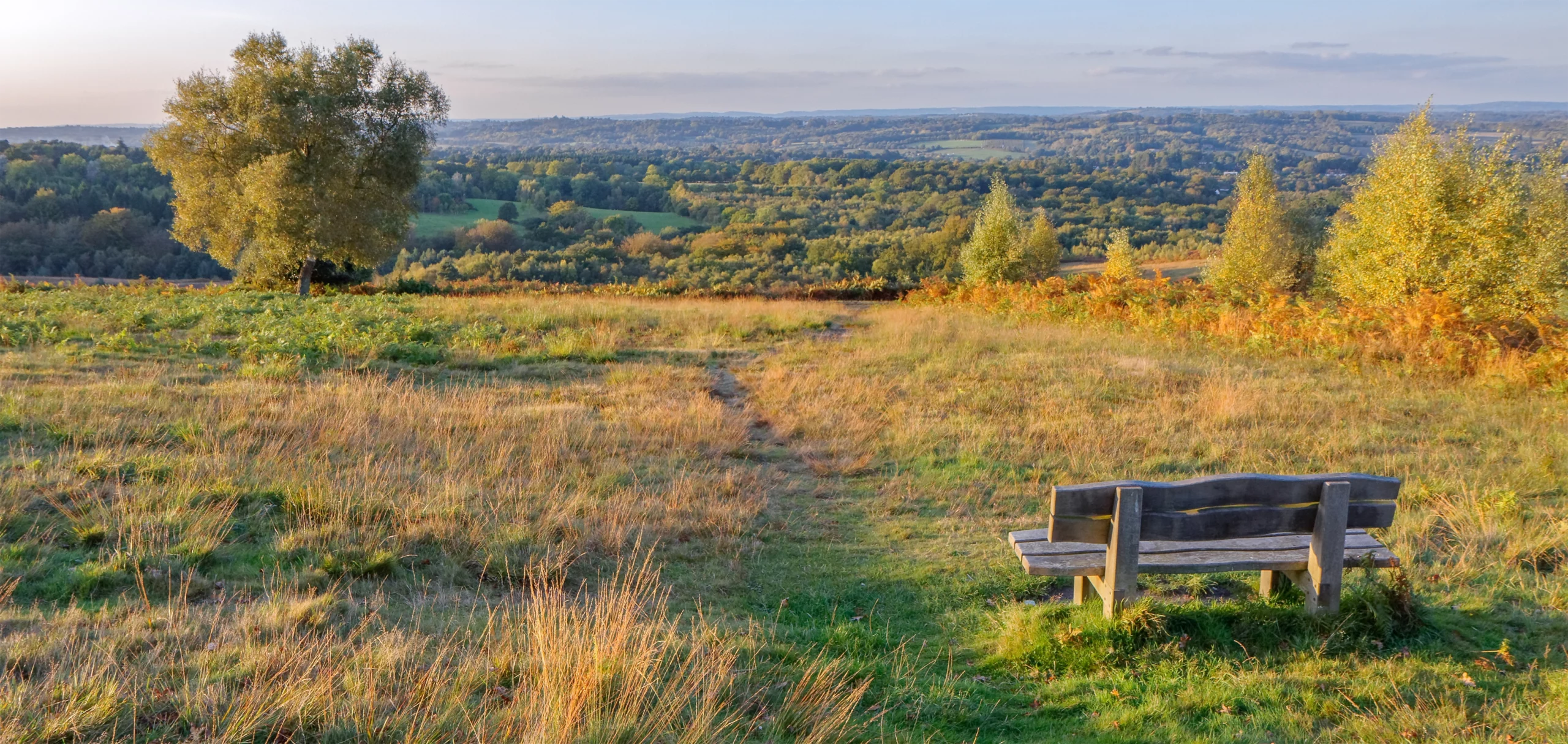 High Weald Holiday Cottages | Inspire Stays